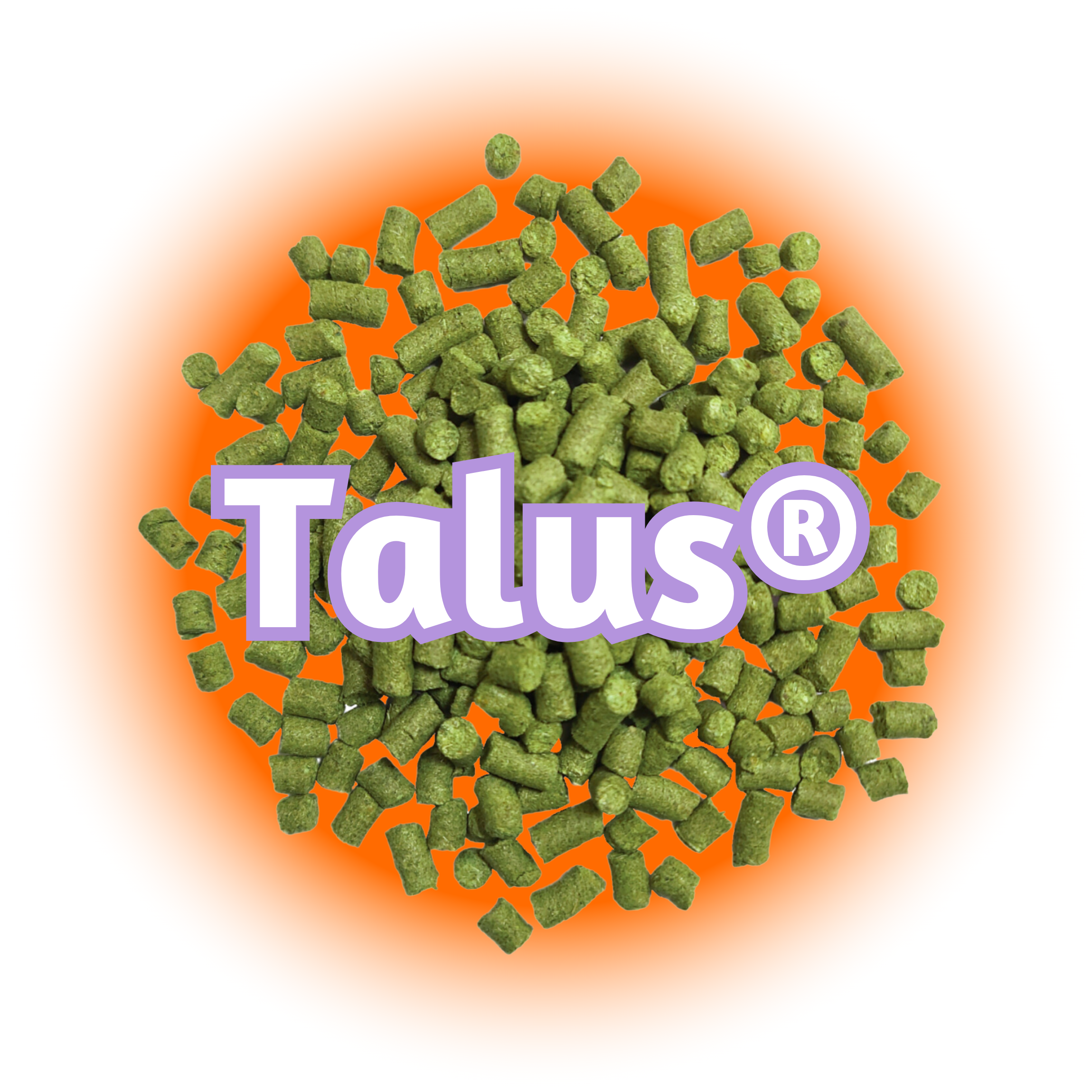 US Talus® Hops - Topp's Hops