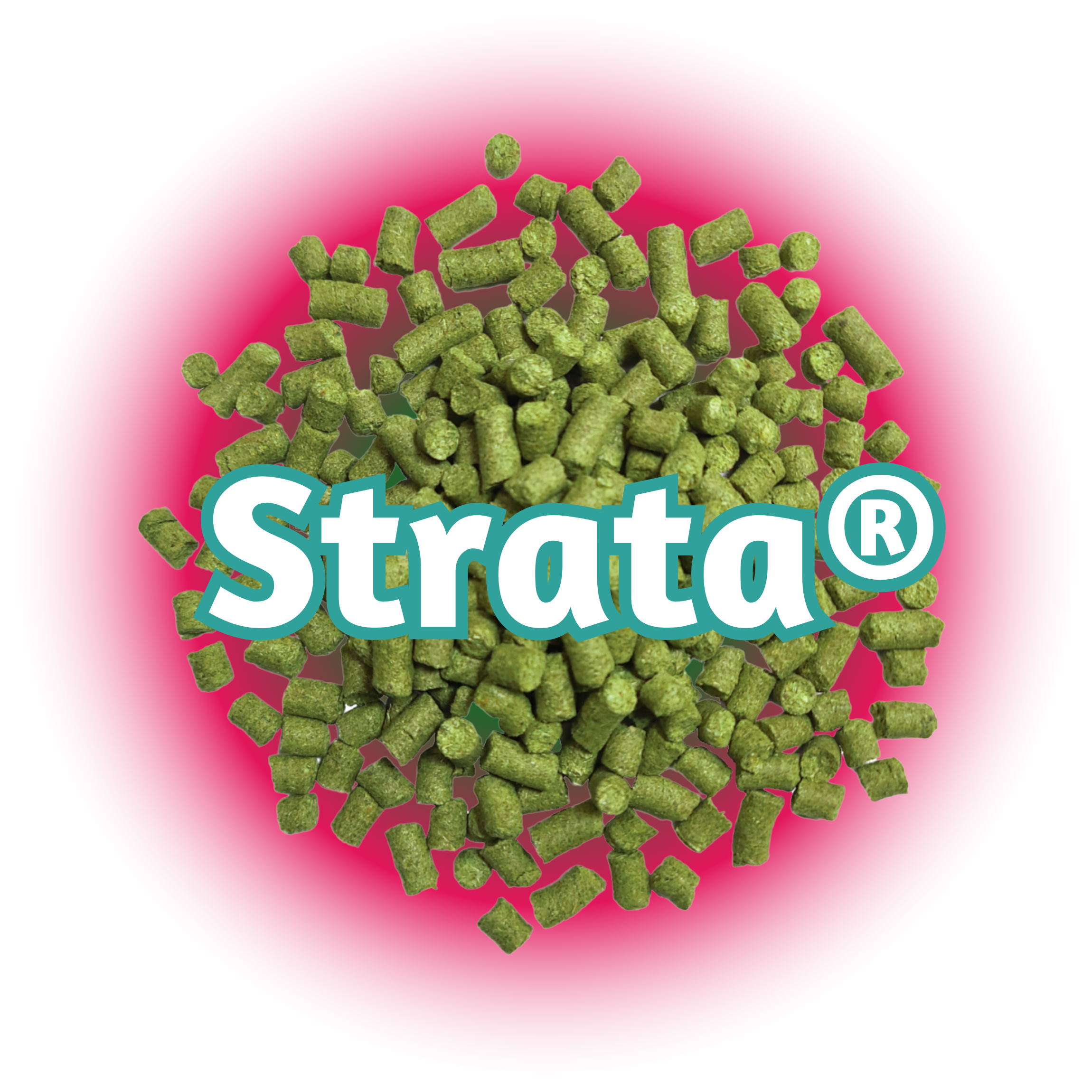 US Strata® Hops - Topp's Hops